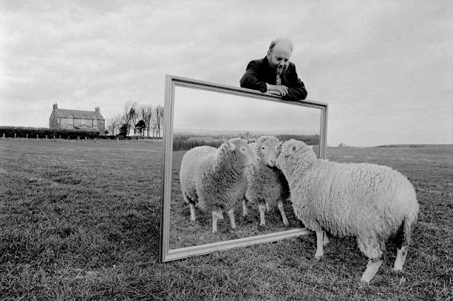 Šta niste znali o ovci Dolly (5.7.1996.-14.2.2003.) - Nauka govori