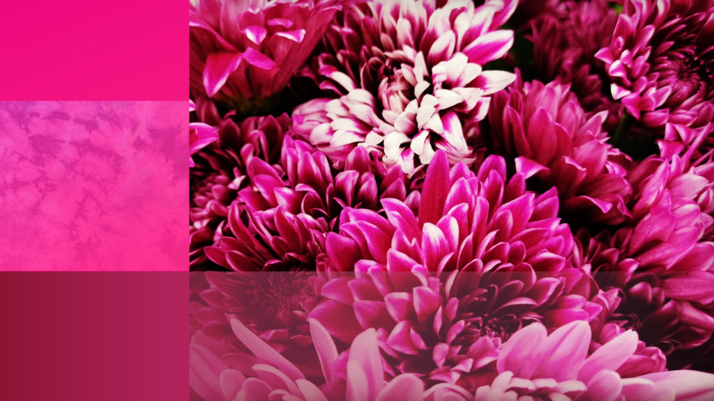 Magenta: Colour That Not Exist, but It Exists - Nauka govori
