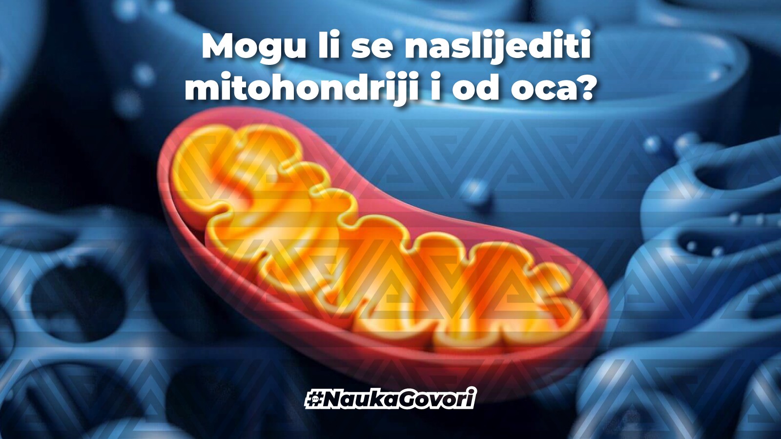 Mogu li se naslijediti mitohondriji i od oca? Biparentalno ...